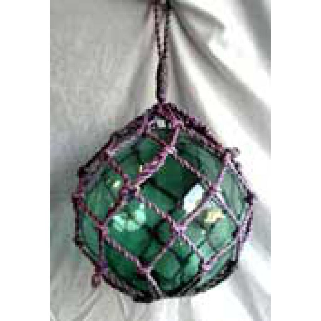 Dried Devil Fish (Ray) | Starbeck Education