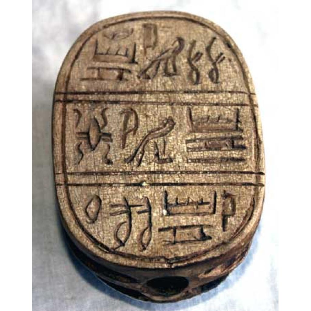 Large Carved Scarab | Starbeck Education