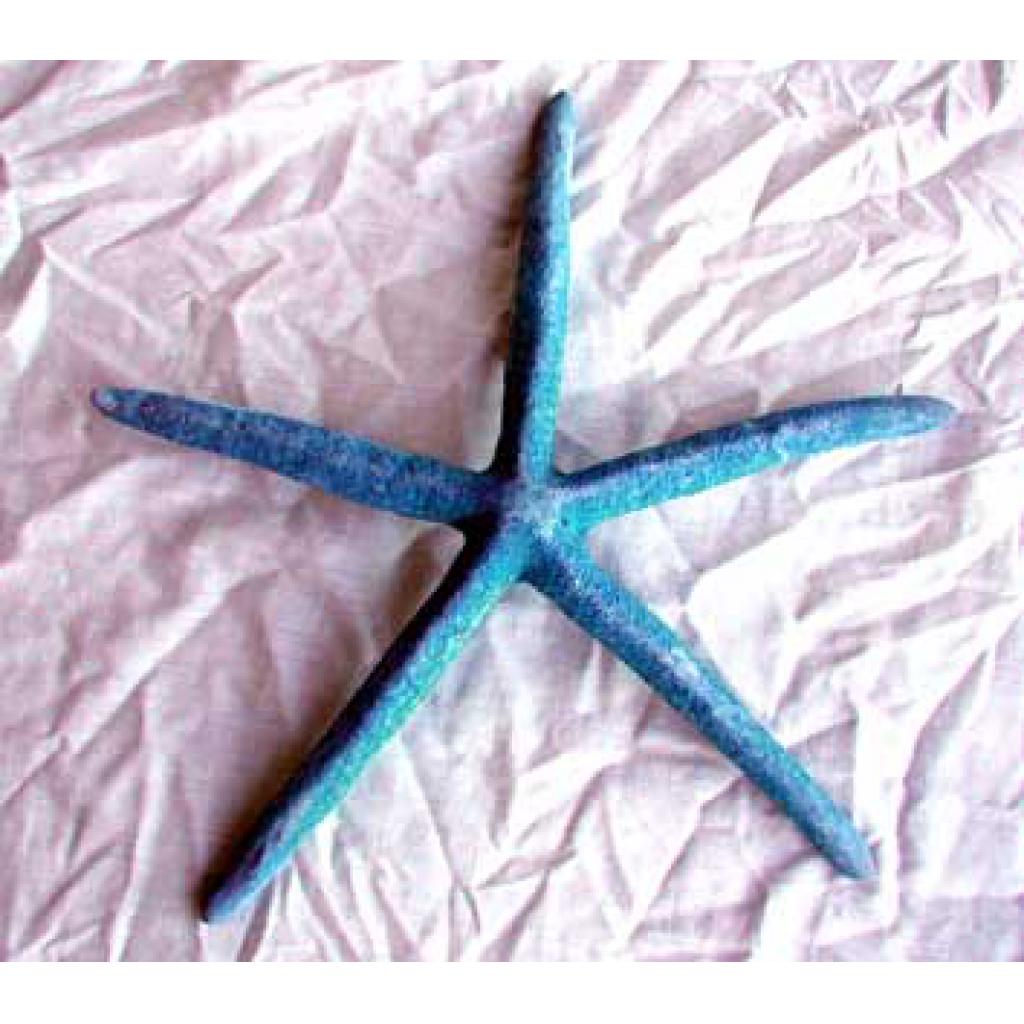 50 x Mini Starfish
