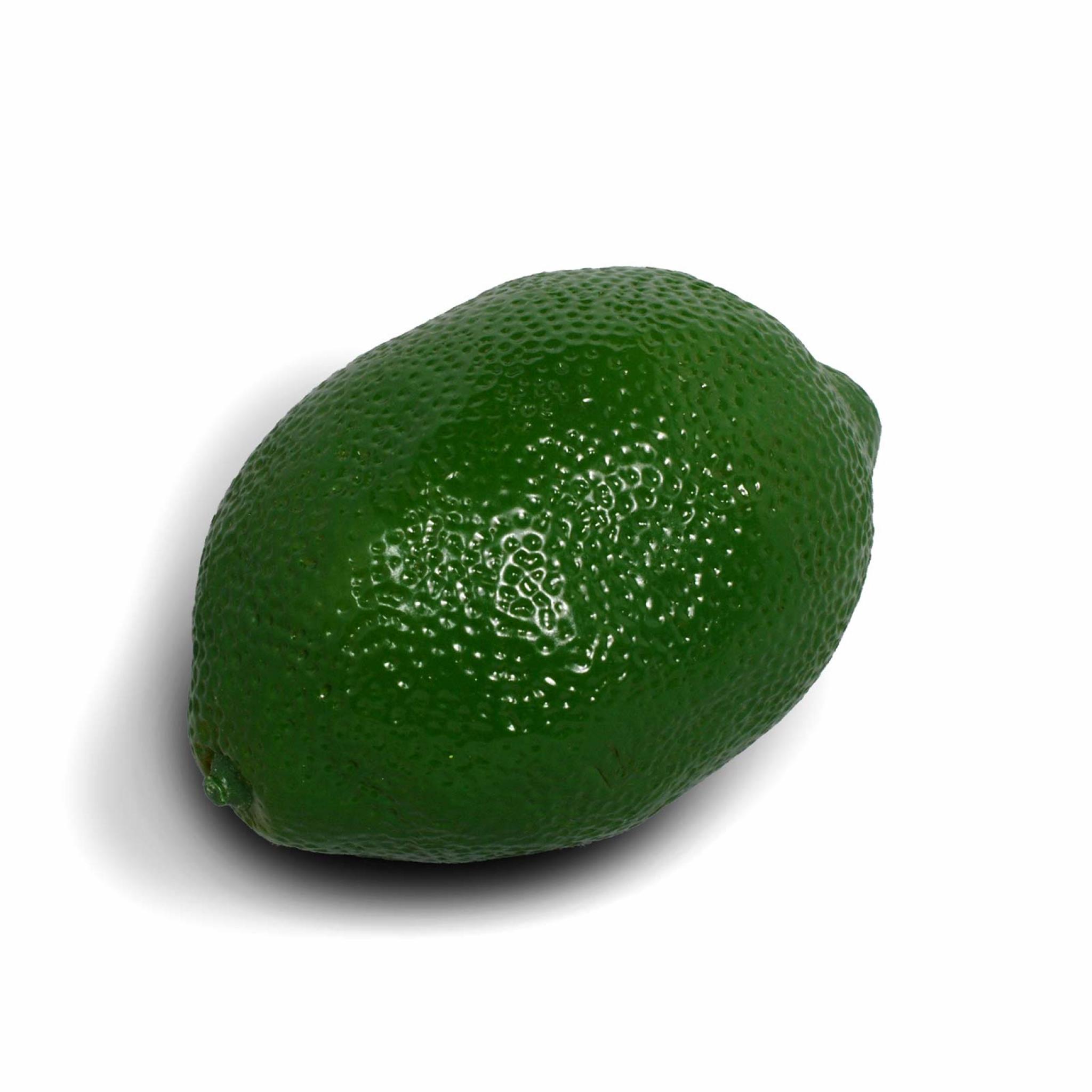 2 x Large Limes | Starbeck Education