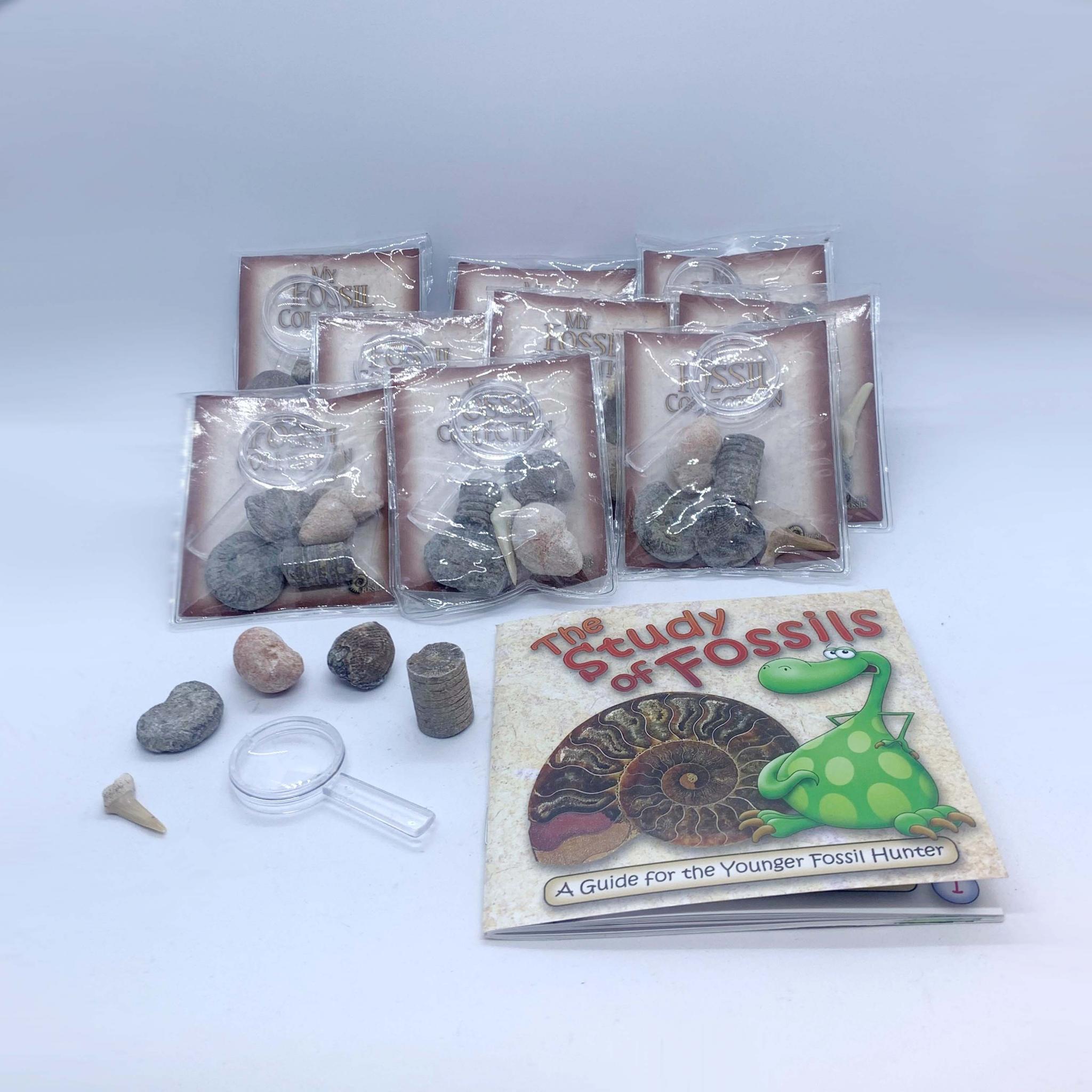 Fossil Collection + Fossil Book | Starbeck Education