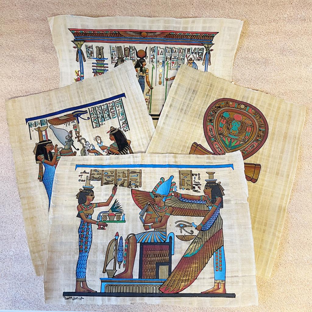 Large Papyrus