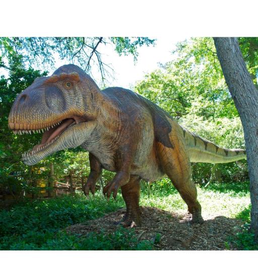 Dinosaurs – Fascinating Creatures from the Past! | Starbeck Education