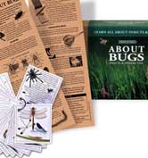About Bugs Kit